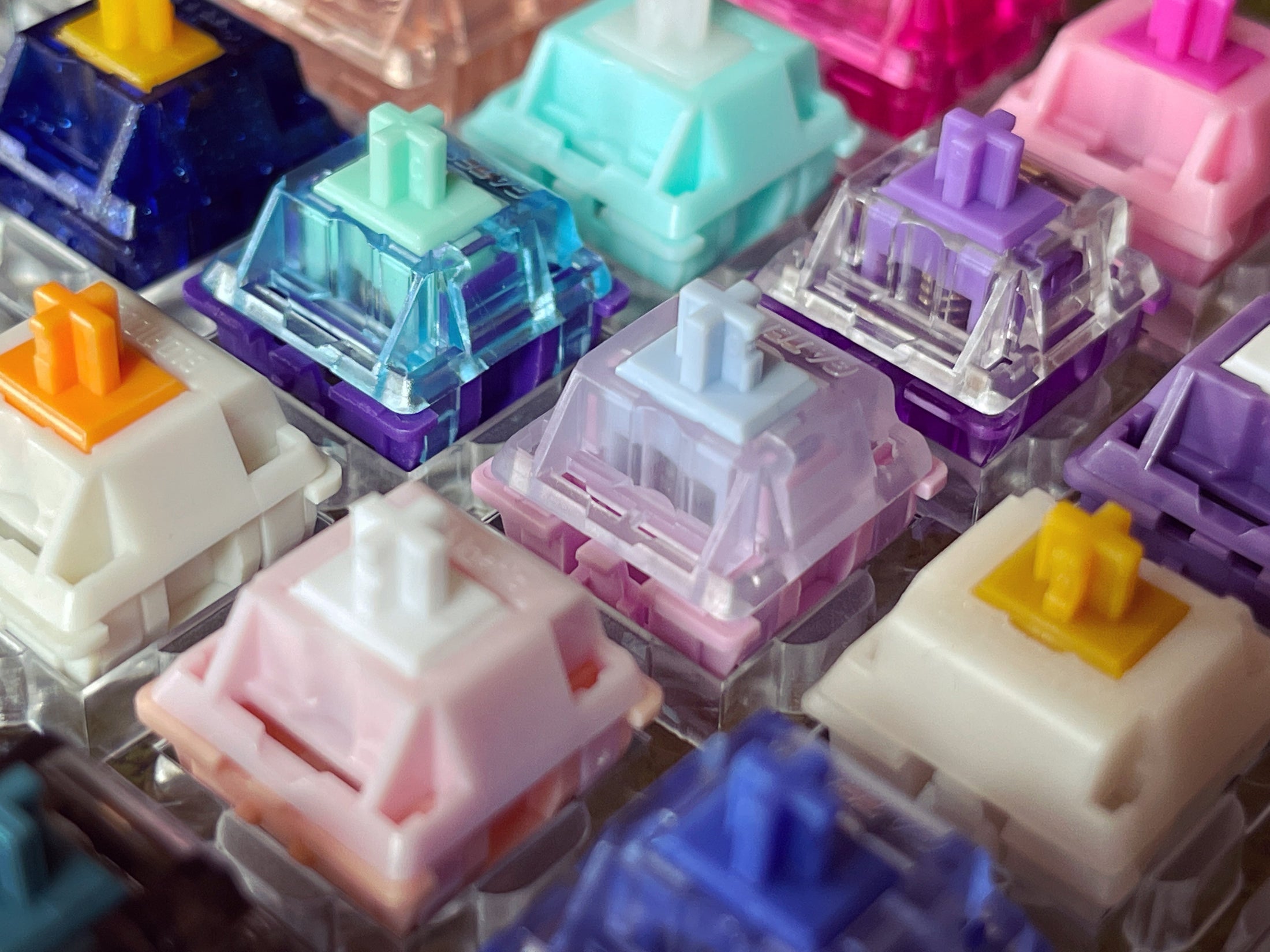 Curated Mechanical Keyboard Switch Samplers